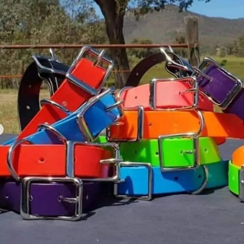 Heavy Duty PVC Dog Collars – Large - Buck and Boar