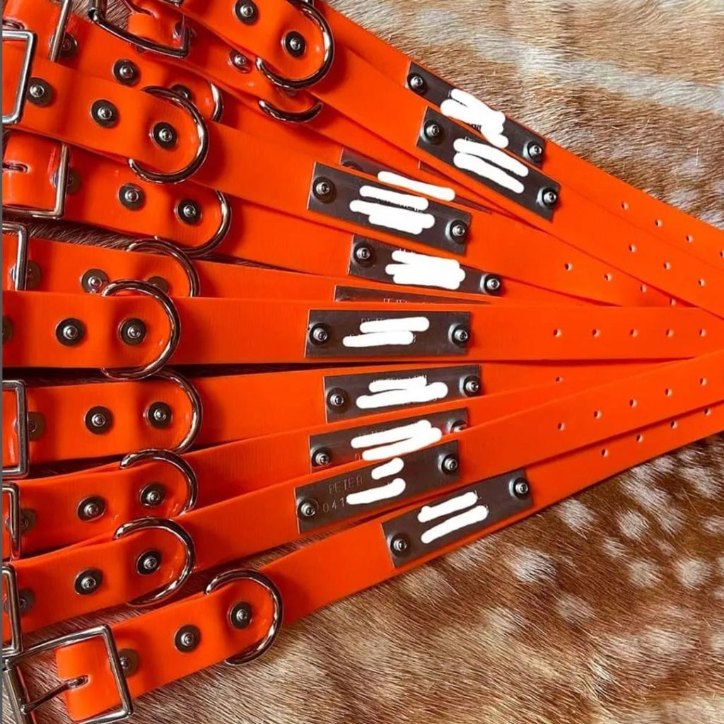 Heavy Duty PVC Dog Collars – Large - Buck and Boar