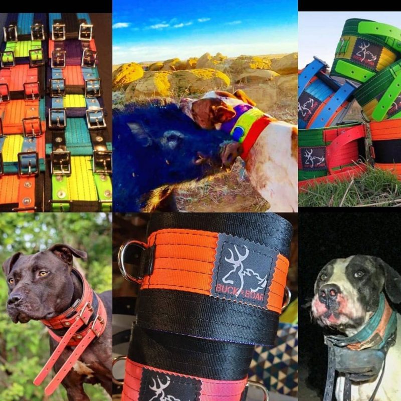 Custom RIP Collar - Buck and Boar