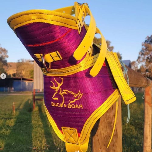 Bomber NT Plate - Buck and Boar