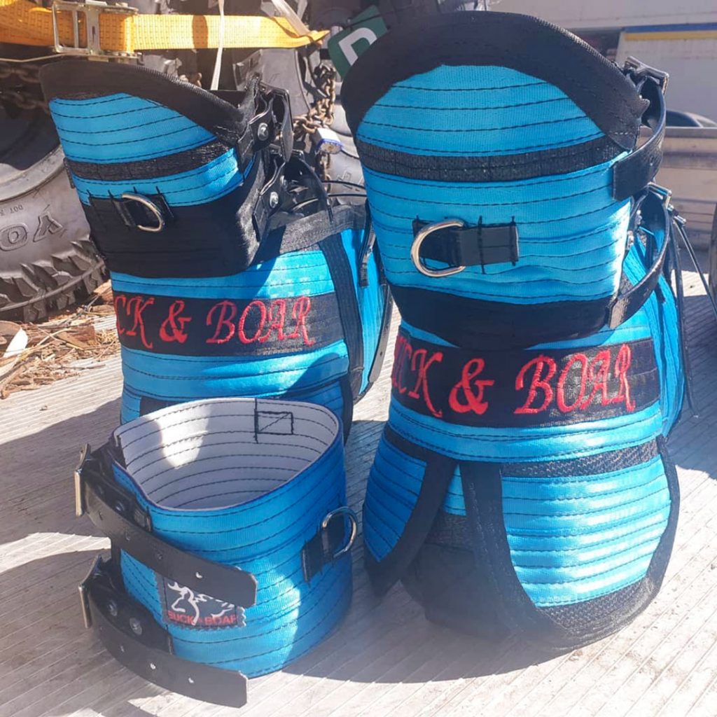 Phoenix Plate - Buck and Boar