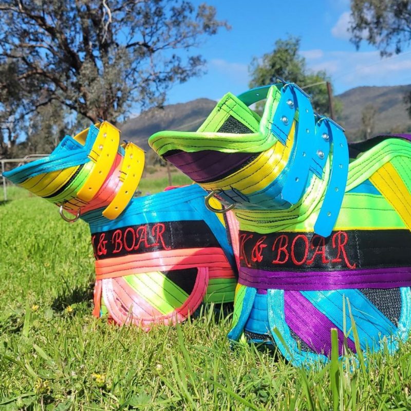 Phoenix Plate - Buck and Boar